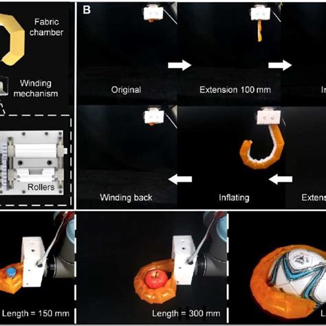 Powerful Soft Robotic Gripper With Variable Grasping Range A