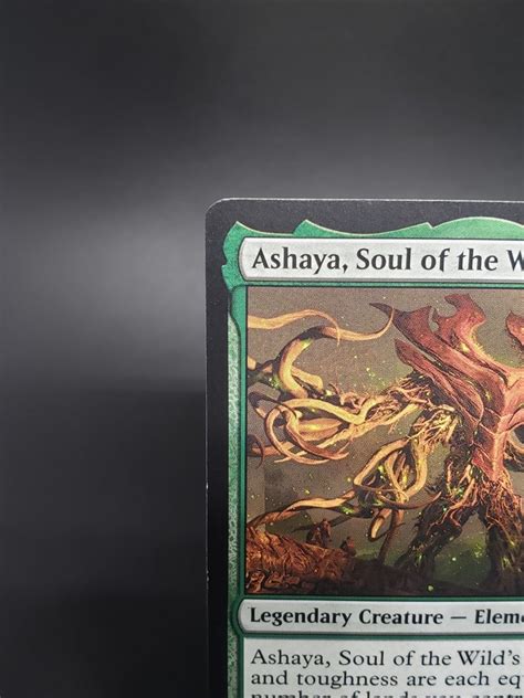 Ashaya Soul Of The Wild Zendikar Rising Regular Mtg 179 Mp Ebay