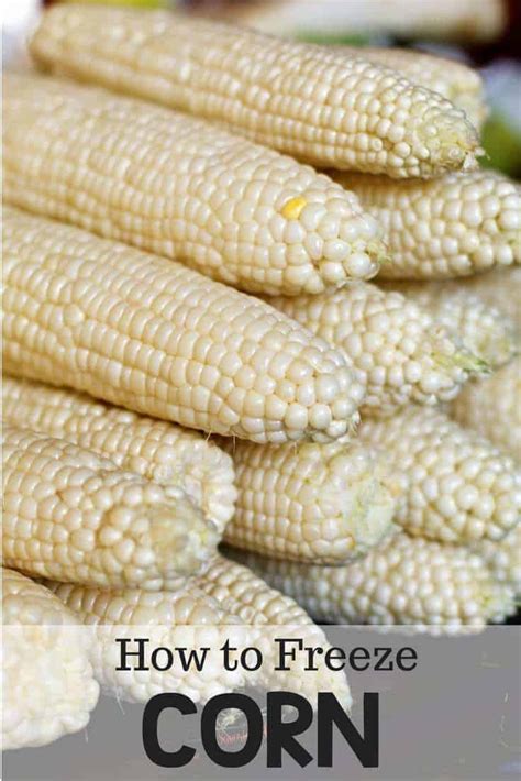 Freezer Corn How To Feeze Sweet Corn Savoring The Good®