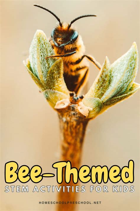 Engaging Bee Stem Activities For Preschool Fun