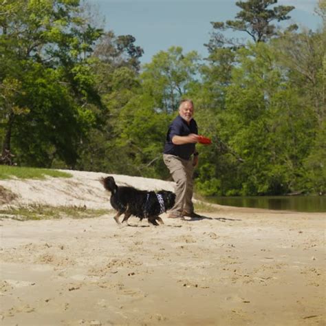 Vito Energy Today And Into The Future Shell 13 Comments