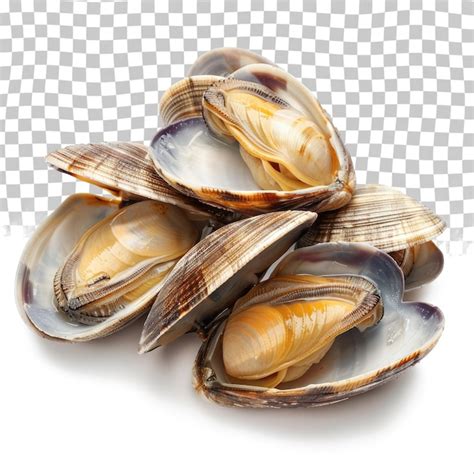 A Pile Of Clams Sits On A White Background Premium Ai Generated Psd