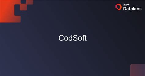 Codsoft An Edtech Bootstrapped Company Based Out Of Kolkata