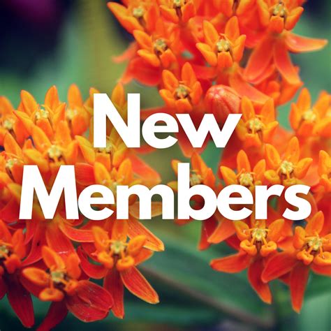 November Chapter Officer E Newsletter