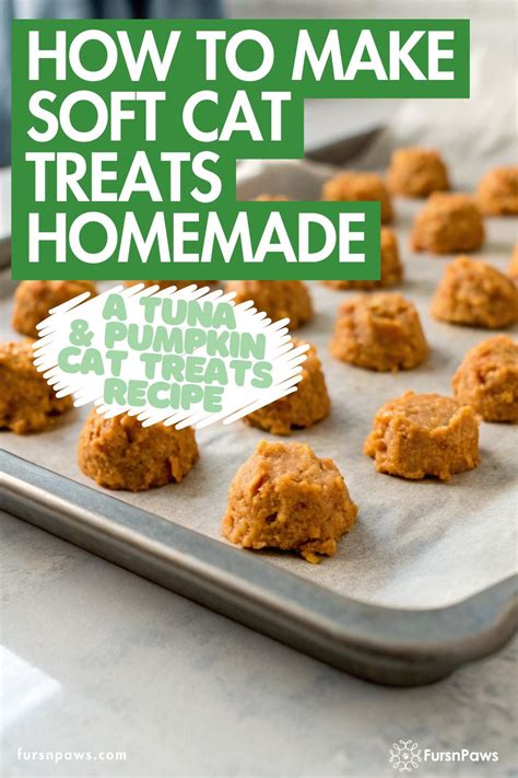 How To Make Soft Cat Treats Homemade A Tuna And Pumpkin Cat Treats