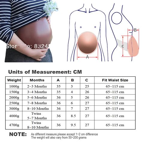 Pregnancy Belly Size Chart Ponasa