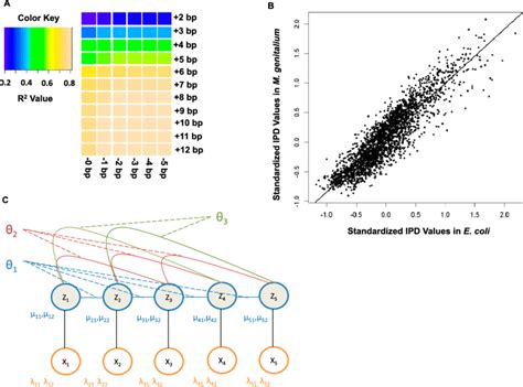 Dna Polymerase Kinetics In Smrt Sequencing Is A Function Of The Local