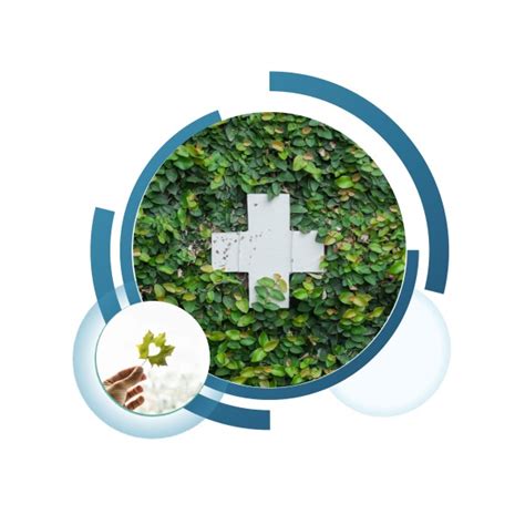 Ehs Meaning 5 Benefits Of Providing Ehs Solutions Blr