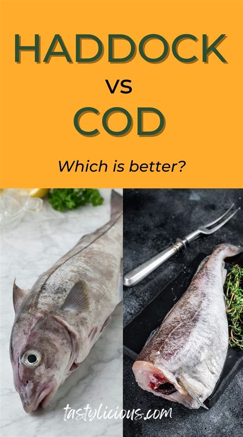 Haddock Vs Cod Which Is Better Artofit