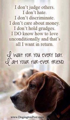 Quotes About Fostering Dogs Quotesgram