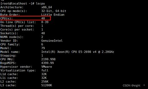 Linux系统下cpu信息查询指南 Csdn博客
