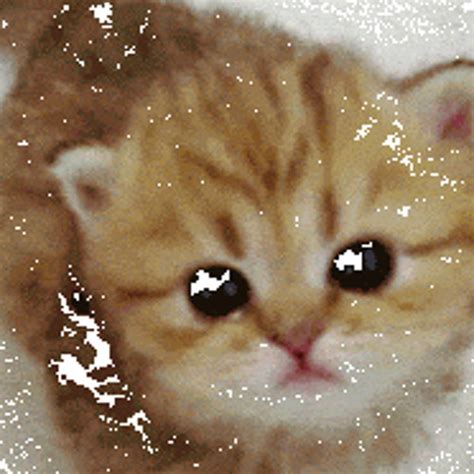 Stream May Eli Music Listen To Songs Albums Playlists For Free On Soundcloud