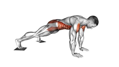 How Many Calories Does Plank Exercise Burn Workout Guru