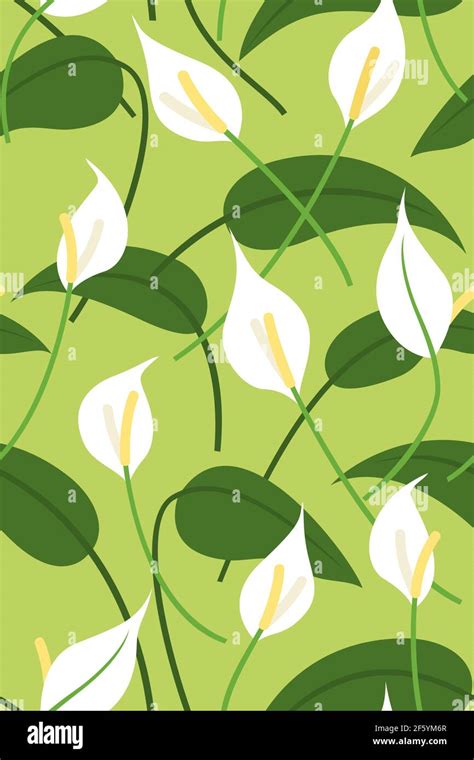 Seamless Pattern Wallpaper Of Peace Lily Flowers And Leaves For The