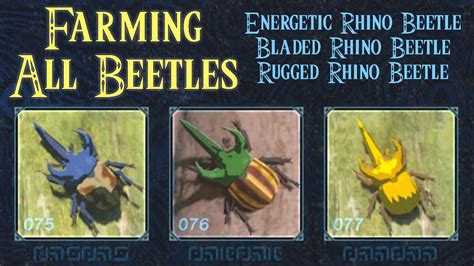 Botw Farm Beetles Easily Energetic Rugged And Bladed Rhino Beetles