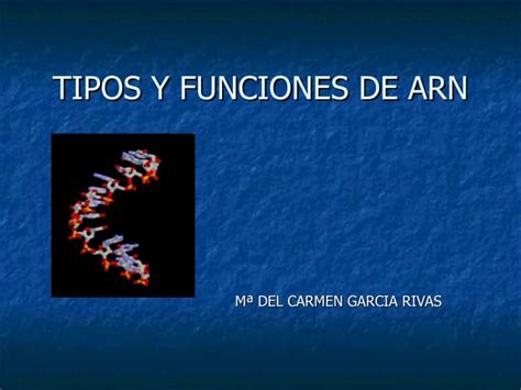 Tipos Y Funciones Del Arn Ppt Genetics Science
