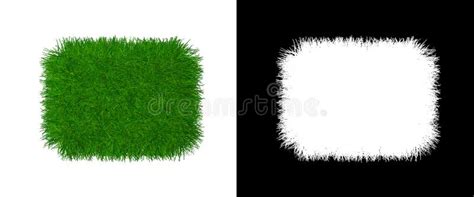 Grass Name Plate Isolated Element Design Stock Illustration Illustration Of Green Plant