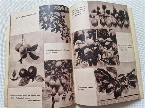 Okno Do Světa č 62 1941 O českých Zahradách Pomologie Ovocnářství Aukro
