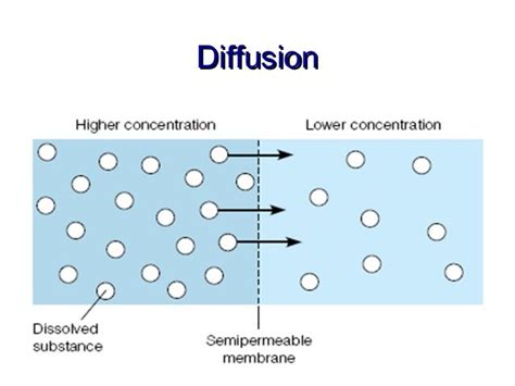 Fluid Electrolytes Acid Base Balance
