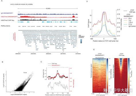 华大基因新技术！蛋白 Dna交互作用迎来重要突破！ 知乎