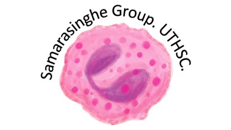 Amali Samarasinghes Lab The University Of Tennessee Health Science