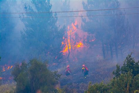 Un Feroz Incendio Azota Un Cerro De El Hoyo En Chubut La Nacion