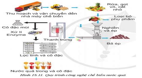 Bài tập Ứng dụng công nghệ cao trong thu hoạch bảo quản và chế biến sản phẩm trồng trọt có