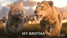 Løvenes Konge  Mufasa Thelionking Mufasa S Tenor