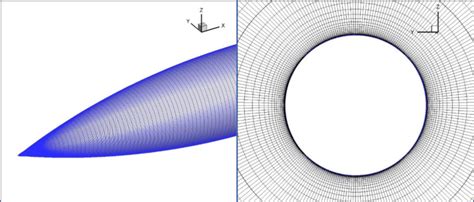 Detail Of The Structured Grid Grid S1 Left Surface Mesh On The Nose Download Scientific
