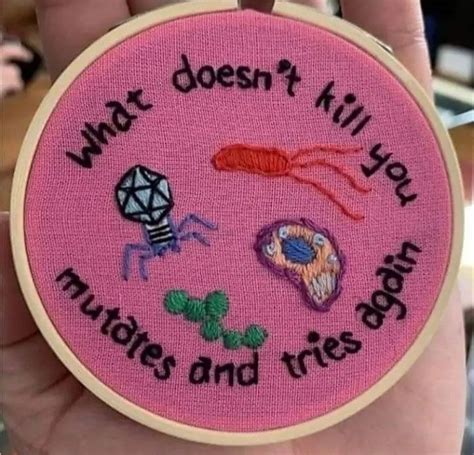 Gram Positive Vs Gram Negative Bacteria Simplified Artofit