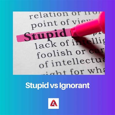 Stupid Vs Ignorant Difference And Comparison