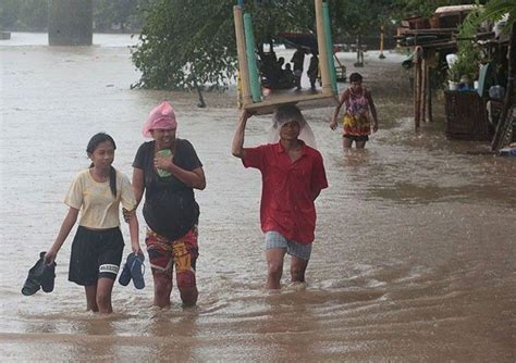 Everything Youâve Always Wanted To Know About Leptospirosis