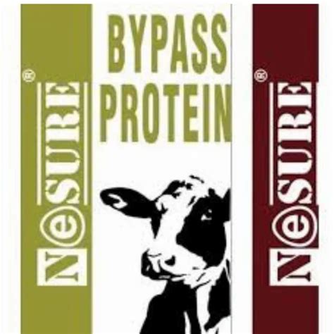 Bypass Protein Cattle Feed At ₹ 25kg Rumen Protected Fat In Kurukshetra Id 2854020661673