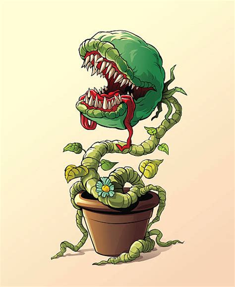 Venus Flytrap Illustrations Royalty Free Vector Graphics And Clip Art