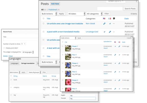 using multiple languages with wordpress carmical translations