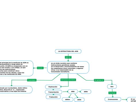 La Estructura Del Adn Mind Map