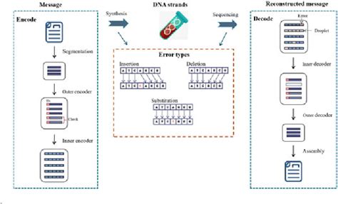 Figure 1 From A Segmented Edit Error Correcting Code With Re Synchronization Function For Dna