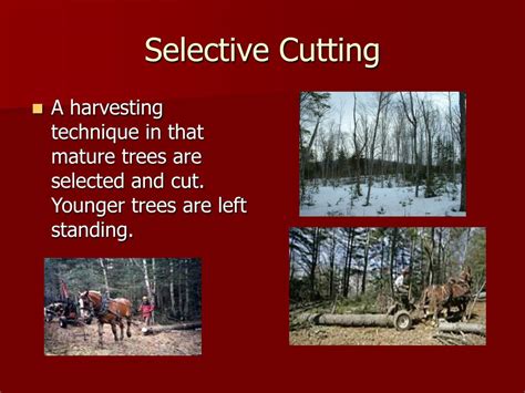 Ppt Obtaining Raw Materials Powerpoint Presentation Free Download