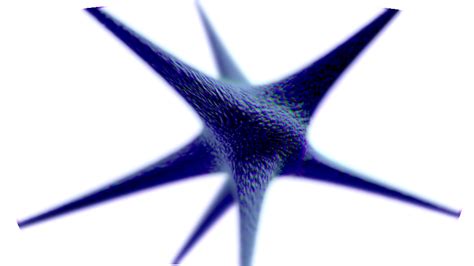 Wipadvice On A Neuron Rblender