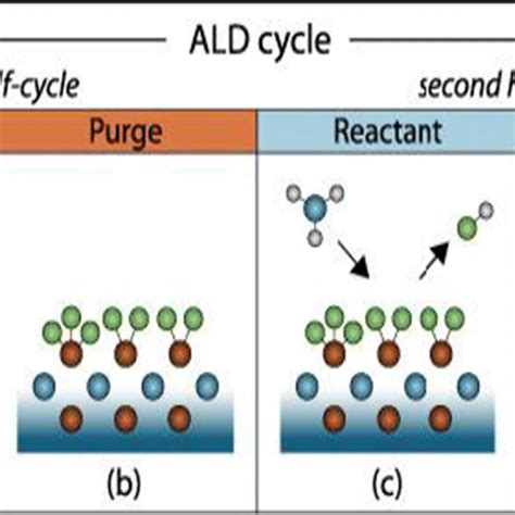 Schematic Representation Of An Ald Process [165] Download Scientific