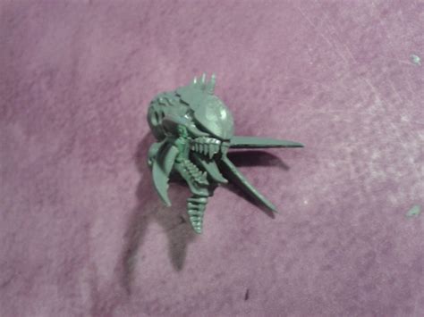 Wip Prince Tyranide Ailé