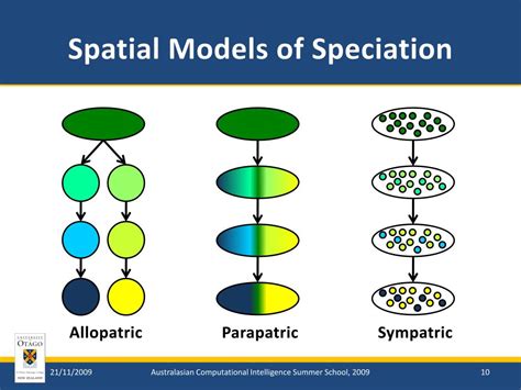 Ppt Spatially Structured Evolutionary Computation Powerpoint