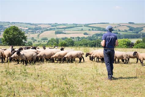 Pipers Farm — Steph Wetherell