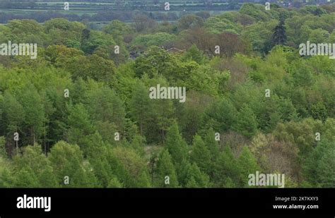 Duncombe Stock Videos And Footage Hd And 4k Video Clips Alamy