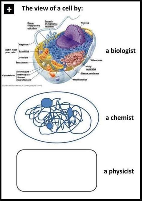 😆 Science Sciencememes Cells Jokes For Scientists Facebook