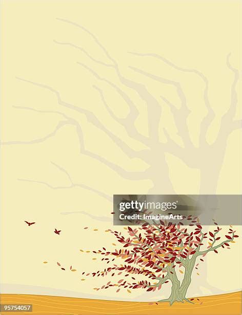 The Willow Flies Were Out Photos And Premium High Res Pictures Getty