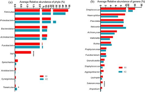16s Sequencing Analysis Of The Variation In The Oral Microbiome At H1