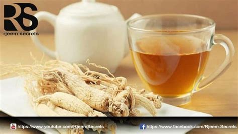 فوائد عشبة الجنسنغ وأهميتها في علاج الضعف الجنسي اسرار الريجيم