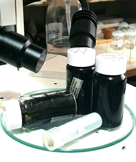 Specimen Identification Uk