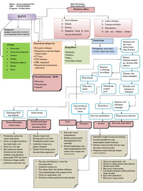 Woc Illeus Obstruktif Pdf